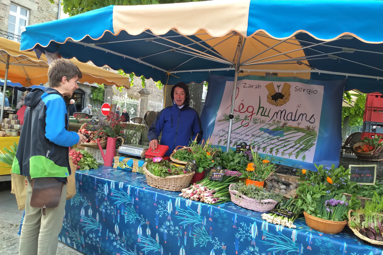 La maillette rend visite à Zarah et Sergio, maraîchers - La Maillette du pays de Rance